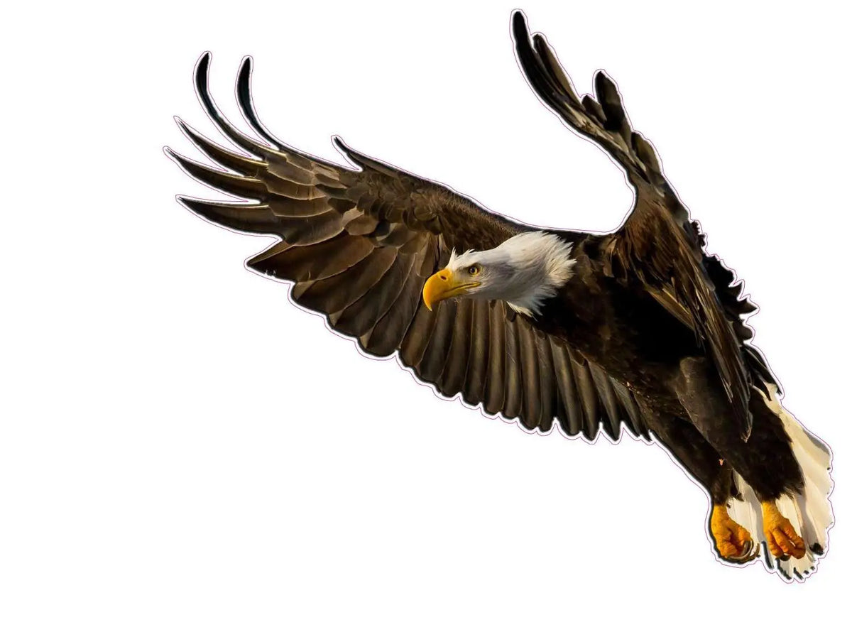 Flying Eagle Decal | Nostalgia Decals Die Cut Vinyl Stickers ...