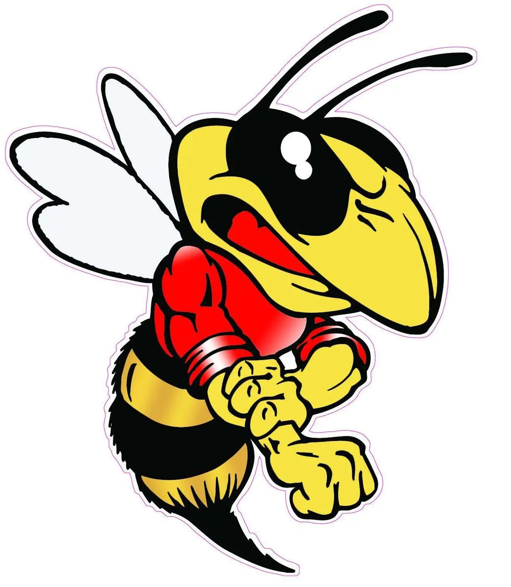 Stinger Decal | Nostalgia Decals Retro Vinyl Stickers – Nostalgia ...