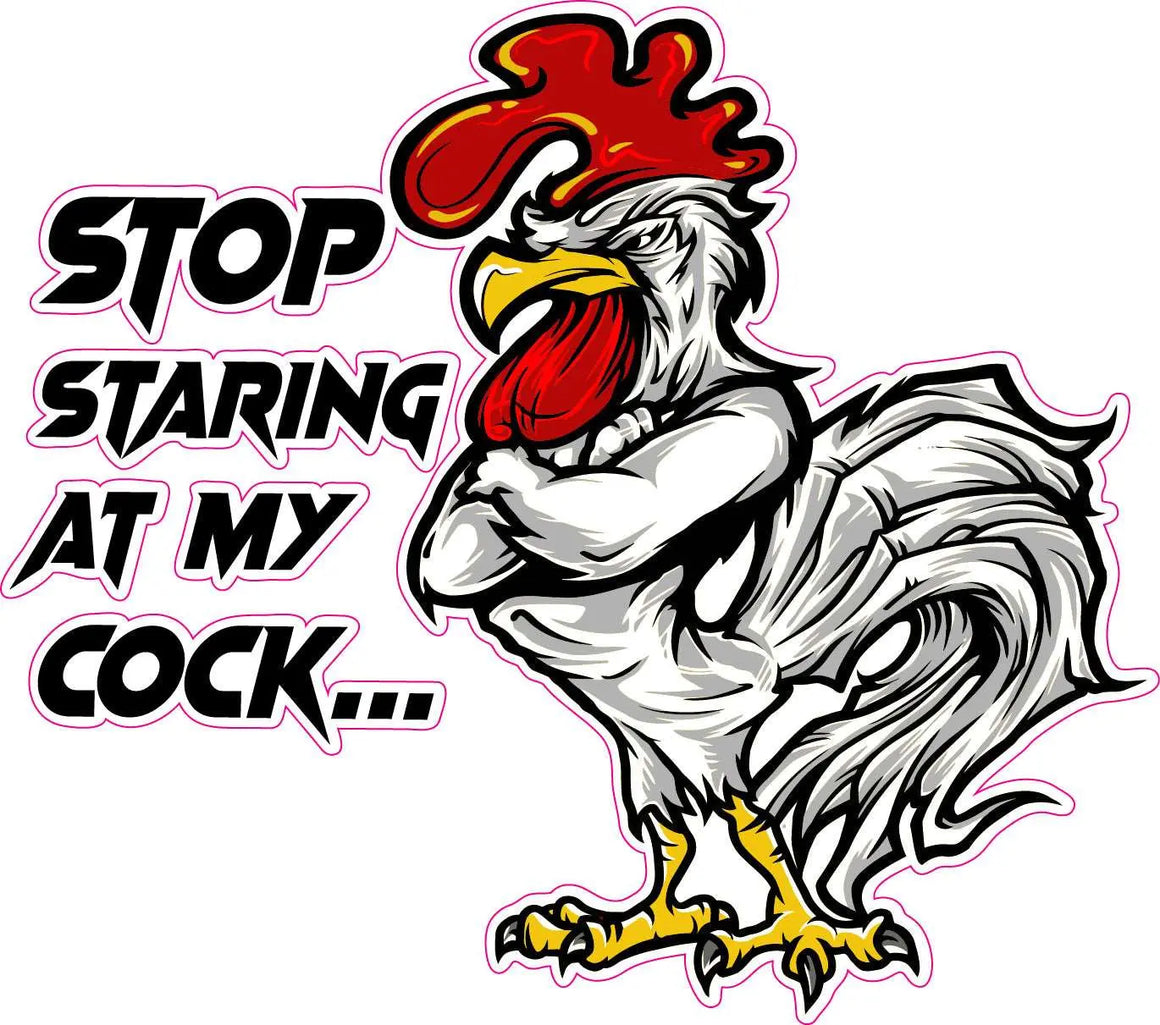 Stop Staring at my cock decal | Nostalgia Decals Die Cut Vinyl Stickers ...