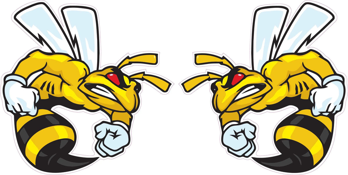 Angry Bees Decal Pair | Nostalgia Decals Vinyl Snowmobile Stickers ...